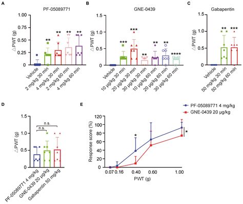 Frontiers Ectopic Expression Of Nav1 7 In Spinal Dorsal Horn Neurons