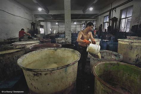 Des Produits Chimiques Dangereux Dans Les Produits SHEIN Greenpeace