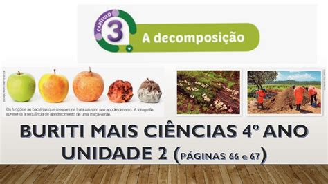 Buriti Mais Ciências 4º Ano Unidade 2 Capítulo 3 A decomposição