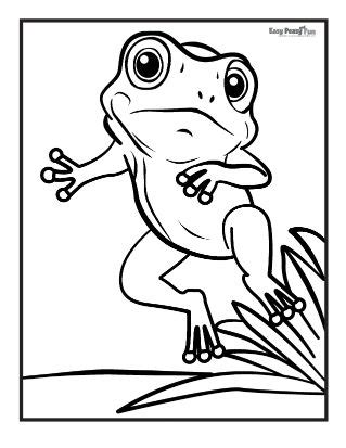 Frog Coloring Pages 30 Printable Coloring Pages 2024