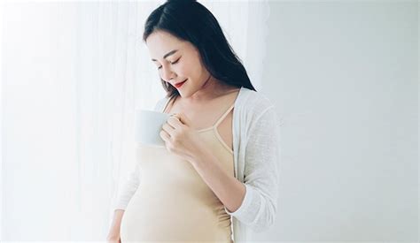 Tam cá nguyệt là gì Những điều cần biết trong từng giai đoạn mang thai
