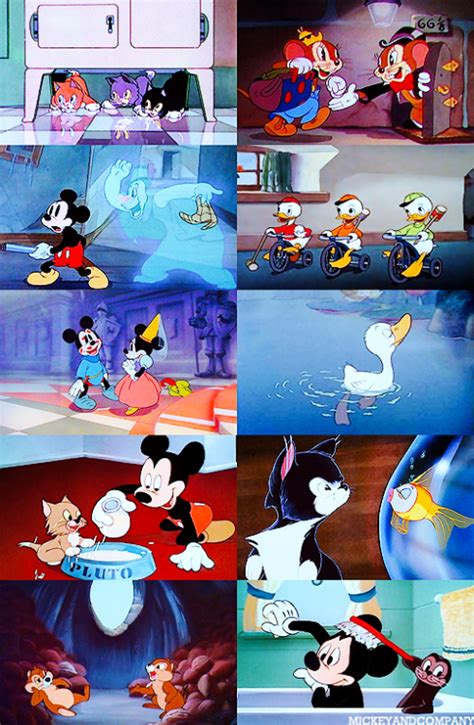 Disney Shorts Tumbex