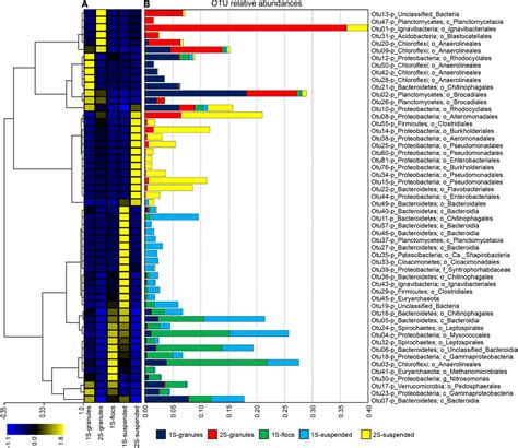 Frontiers Metagenomic Insights Into Competition Between