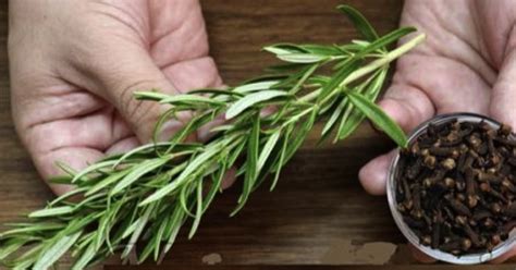 Sekret jak naturalnie poprawić swój układ odpornościowy obniżyć