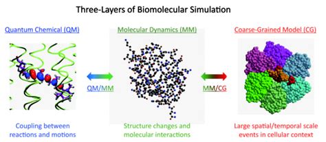 welcome to molecular scale team