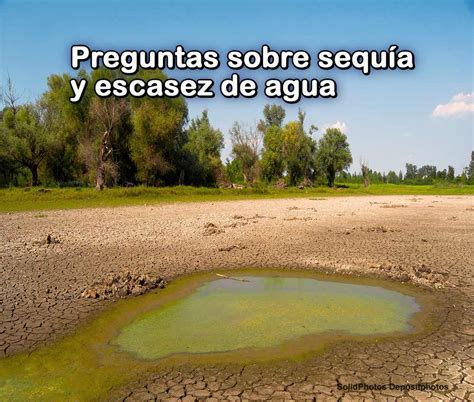 Cuál es la diferencia entre sequía y desertificación SGK Planet