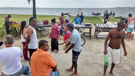 Pesca Na Laguna De Araruama Liberada Pea Observa O
