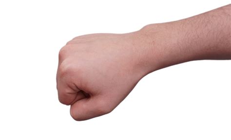 Puño cerrado y antebrazo PNG transparente StickPNG