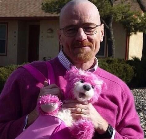 Breaking Bad Cast Better Call Saul Breaking Bad Breaking Bad Funny