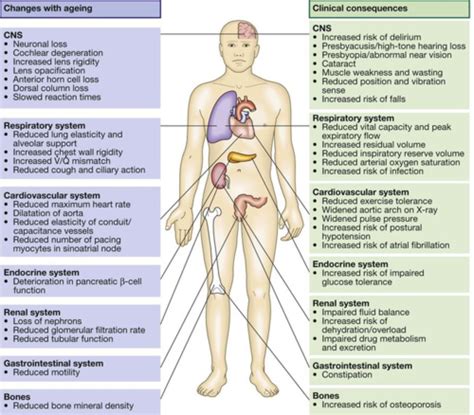 The Effects Of Ageing Pathological Change Flashcards Quizlet