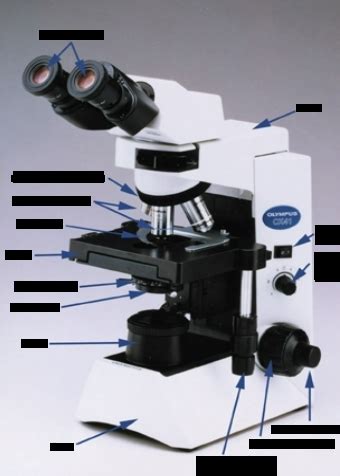 Chapter 1 Lab Microscopy Diagram Quizlet