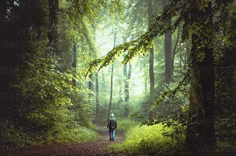 Man Walking On Forest Track In Morning Light Stock Photo