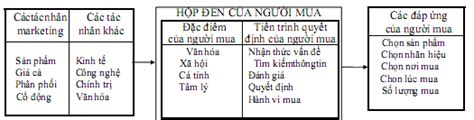 Top 77 về mô hình hộp đen hay nhất coedo vn