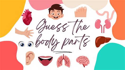Guess The Body Part Challenge Body Parts Quiz Bodypartsname Biology