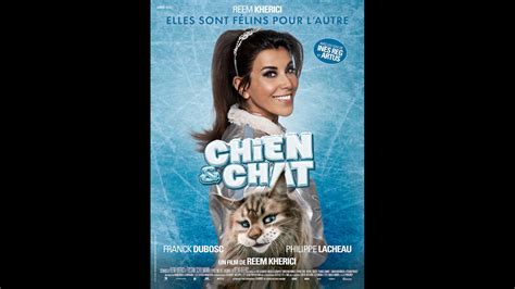 Chien Chat Chichi Et Diva Parviendront Ils Retomber Sur Leurs