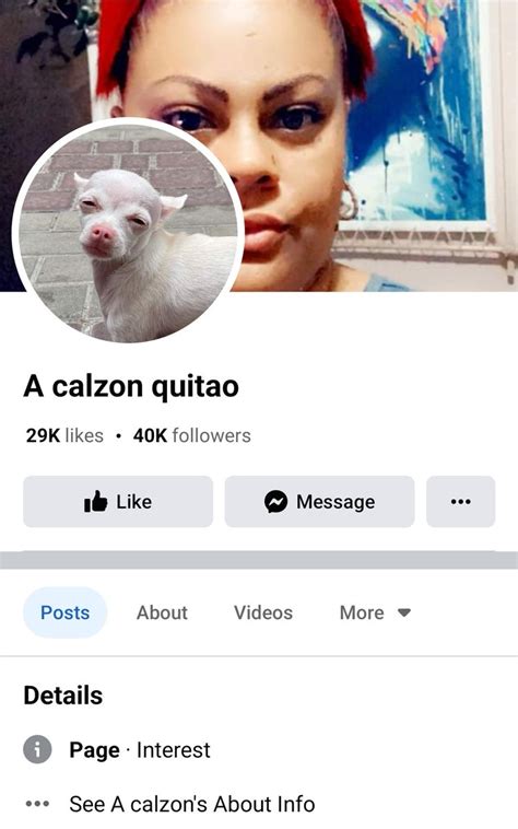 Ive On Twitter Esta Es La Asquerosa Q Se Pasa Reportando Y Hostigando