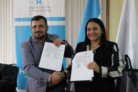 Canal 6 Honduras on Twitter Noticias SAG y AMHON Fortalecerán