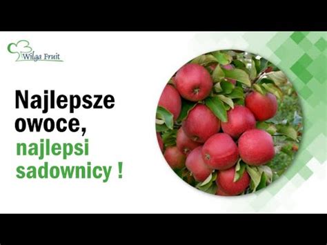 Hurtowa sprzedaż owoców Wilga Fruit Piwonin YouTube