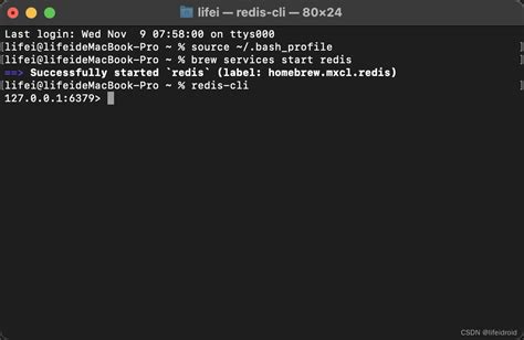 mac m1 安装redis redis mac m1 csdn博客