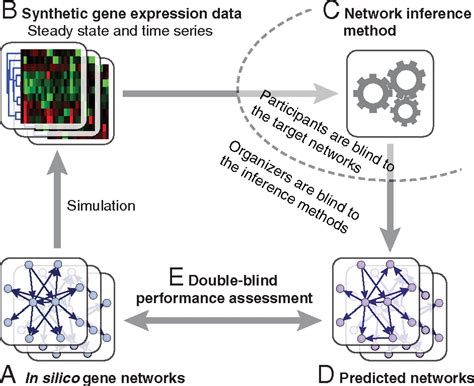 revealing strengths and weaknesses of methods for gene network inference pnas