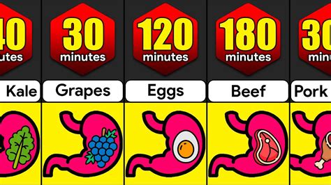 How Long Does It Take To Digest Spaghetti Update Abettes Culinary