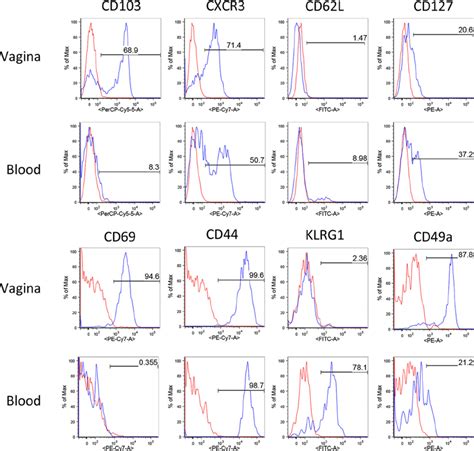 Surface Marker Expression By K B Gb Tetramer Positive Cd T