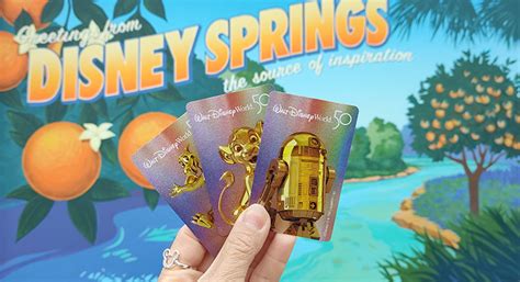 Entradas Para Disney World Tarjeta MagicBand Y MagicMobile