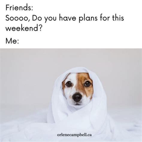 Funny Friday Memes For The Best Day Of The Week Friday Meme Funny