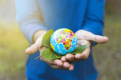 Coletalixo Como criar um negócio sustentabilidade ambiental
