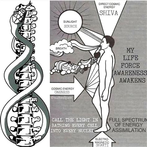 14 Kundalini Awakening Benefits And Signs Artofit