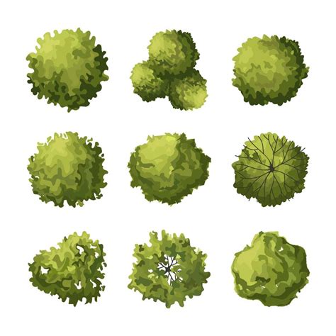 Set Of Architectural Tree Plan Vector Art At Vecteezy