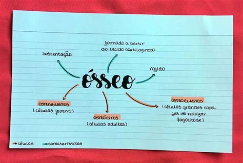 MAPA MENTAL SOBRE TECIDO ÓSSEO STUDY MAPS