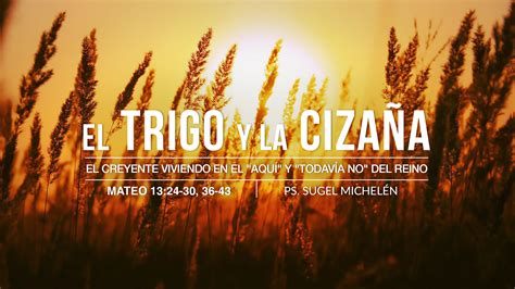 El trigo y la cizaña Iglesia Bíblica del Señor Jesucristo