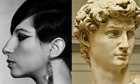 Aquiline Nose Vs Button Nose Beauty Secrets Revealed