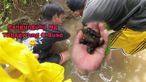 Pangunguha Ng Tabagwang O Susó Sa Sapa Para Meron Pang Ulam Libre Lang