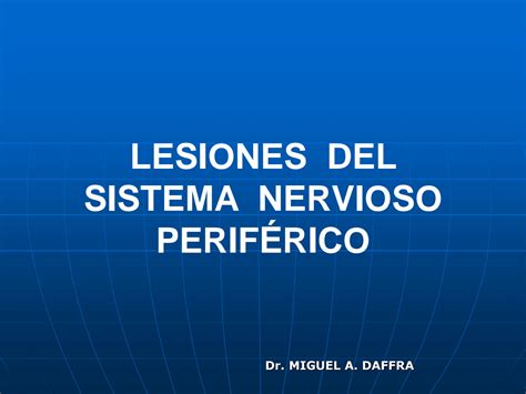 SOLUTION Sistema Nervioso Perif Rico Studypool
