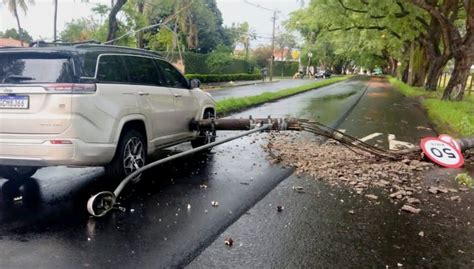 Árvore cai durante a chuva e derruba poste sobre veículo na Nova