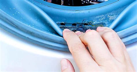 Lastuce de génie pour nettoyer les moisissures du lave linge qui