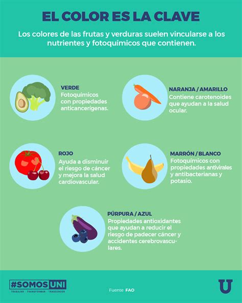Por qué debemos consumir más frutas y verduras Vida Universitaria