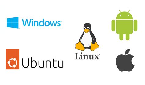System Software Application Software Examples Of