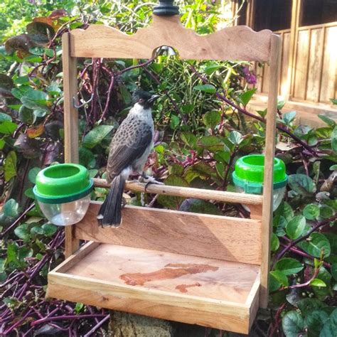 Jual Sangkar Layang Burung Kutilang Trucuk Perkutut Tali Kaki Burung