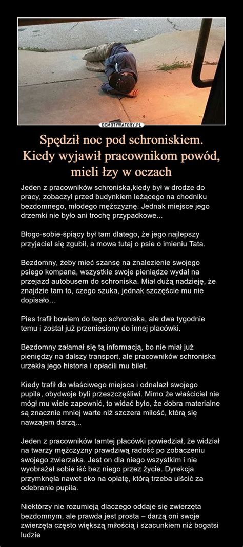 Spędził noc pod schroniskiem Kiedy wyjawił pracownikom powód mieli