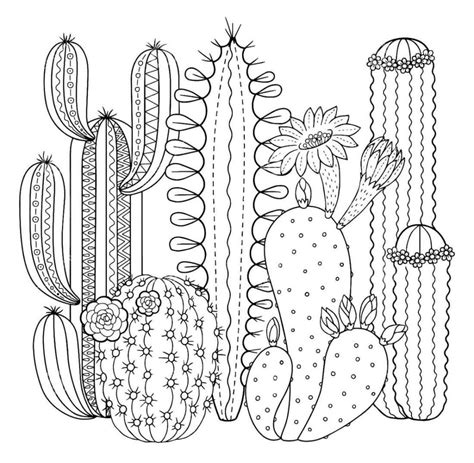 Coloriage Cactus 100 Coloriages à imprimer gratuitement