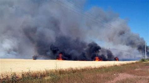 Diario Del Yaqui Se Presenta Otra Quema De Gavilla En El Valle Del