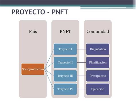 Importancia Del Proyecto Sociointegrador Para La Conformaci N De Redes