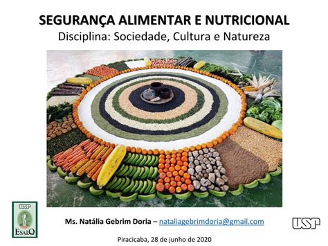 PDF SEGURANÇA ALIMENTAR E NUTRICIONAL DOKUMEN TIPS