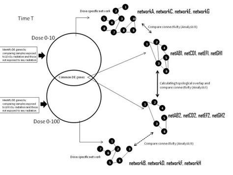 analysis strategy analysis strategy for comparing dose specific gene download scientific