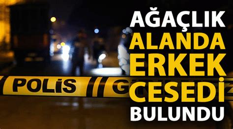 Kocaeli de ağaçlık alanda erkek cesedi bulundu ASAYİŞ Mavi Kocaeli