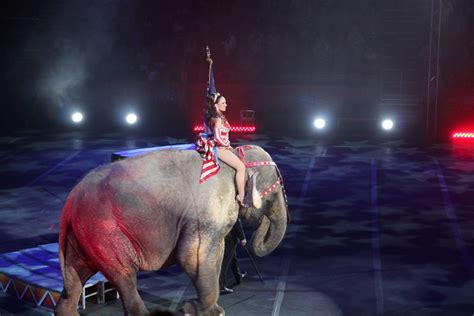Pin Auf Elephants And Sexy Women Fun Travel