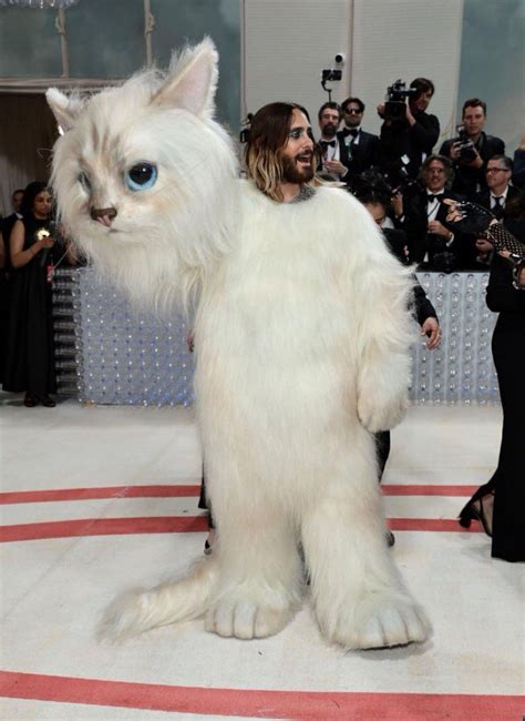 Gia On Twitter Leto Is Fucking Insane